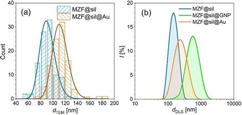 Size Distribution Of The Particles A Histograms Based On The Image