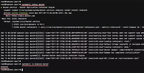 Install Discourse Forum With Nginx On Ubuntu 1604 Bots