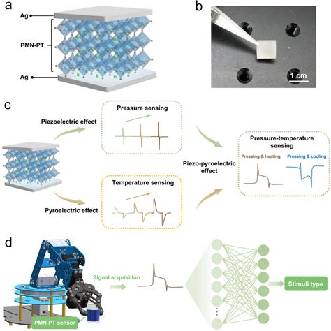 Design And Functions Of The Self Powered Bimodal Sensor A Schematic