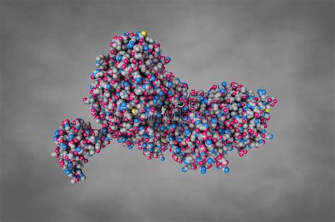 Penicillin Binding Protein 2x Pbp 2x Acyl Enzyme Complex Space Filling Molecular Model 3d