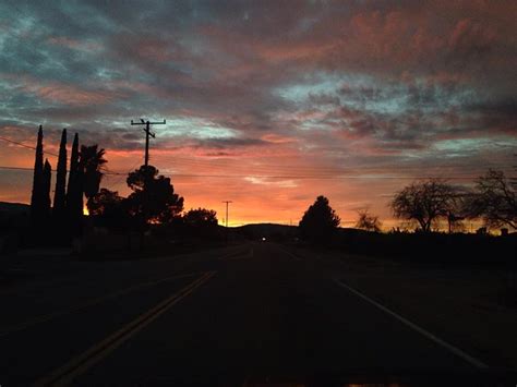 Chere Carlyon Perry Realtor