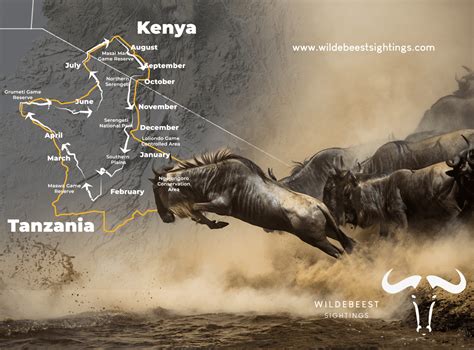 The Great Wildebeest Migration Kenya And Tanzania 2025 [next Year]