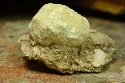 Pin Di Taly Yariv Su Rare White Yellow Sulfur Ball Brimstone Shell