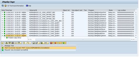Consulta del log de SAP BPC a través de la transacción SLG1 aníbal