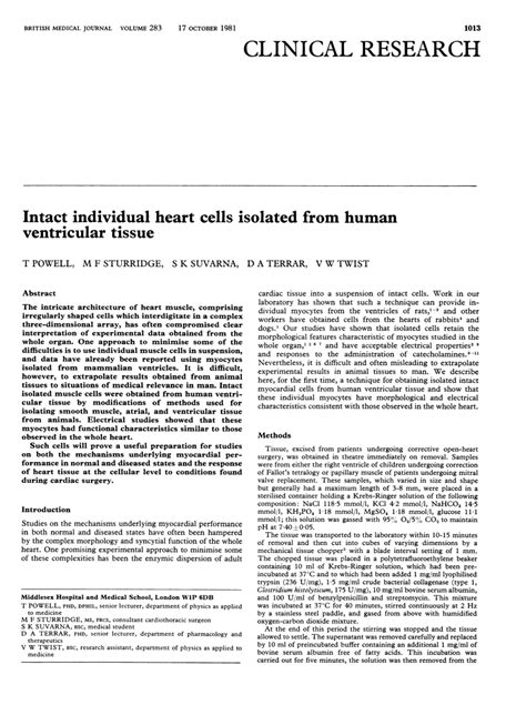 Pdf Intact Individual Heart Cells Isolated From Human Ventricular Tissue