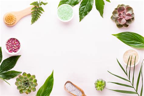 수제 바이오 화장품 및 선인장 조성물 평평한 평신도 텍스트 공간 스파 배경 이미지 개념에 대한 스톡 사진 및 기타 이미지 개념 건강관리와 의술 건강한 생활방식