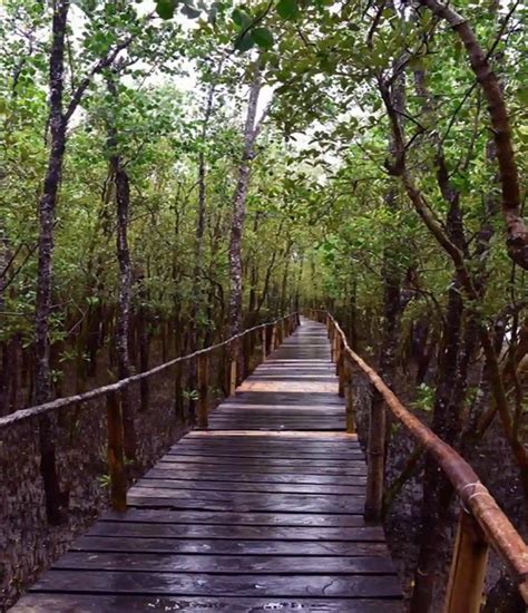 One Day Guwahati To Cherrapunjee Trip Book Now Rs6749 21 Off