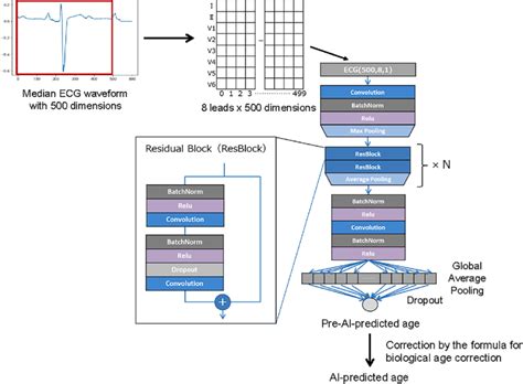 Convolutional Neural Network CNN Model The CNN Algorithm Was Download Scientific Diagram