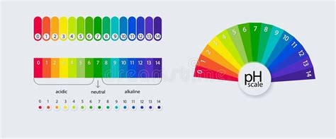 Alkaline Scale Stock Illustrations 1121 Alkaline Scale Stock