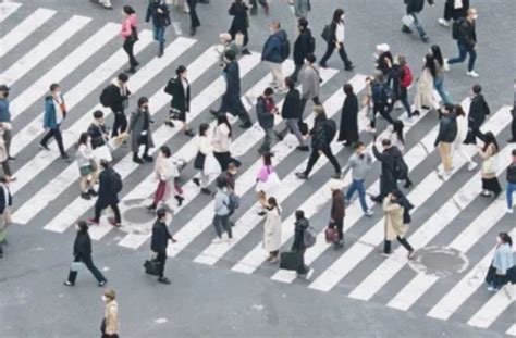 Pedestrian Survey Analysis For Urban Planning