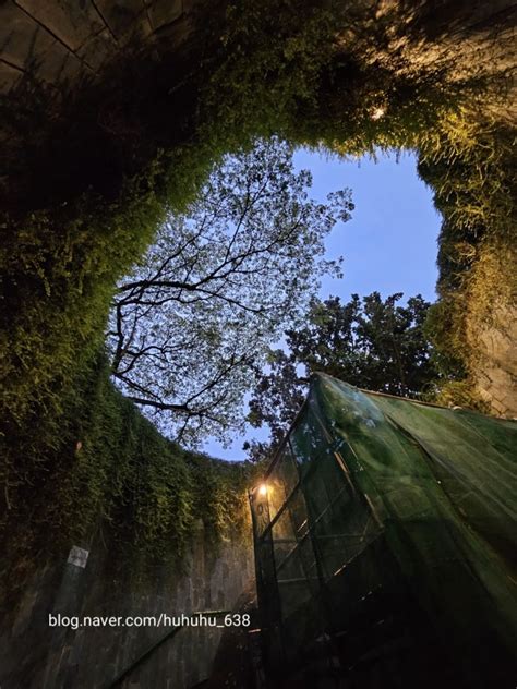 싱가포르 관광 포트캐닝 트리터널 명소 안내 웨이팅 안 하는 꿀팁 네이버 블로그