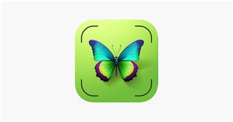 ‎bug Identifier Insect Spider On The App Store