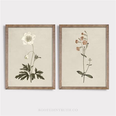 Luvia Botanical Vintage Flower Antique Cottage Core Neutral Light
