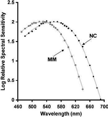 Relative Spectral Sensitivity Functions For MM And NC Spectral Download Scientific Diagram
