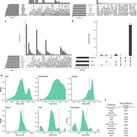 The Lifestyle Of Pseudomonas Strains Is A Key Factor That Determines Download Scientific