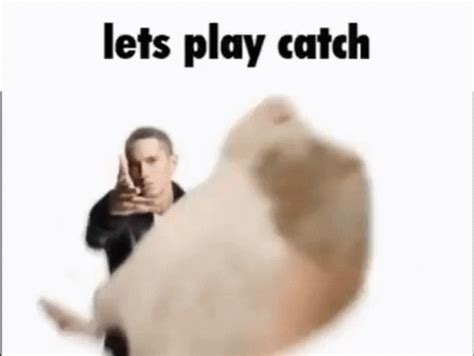 Catch Loop GIF Catch Loop Hamster Discover And Share GIFs