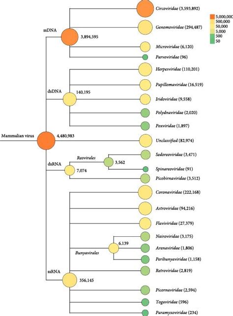 The Classification Of Reads From Bamboo Rat The Diameters Of Circles