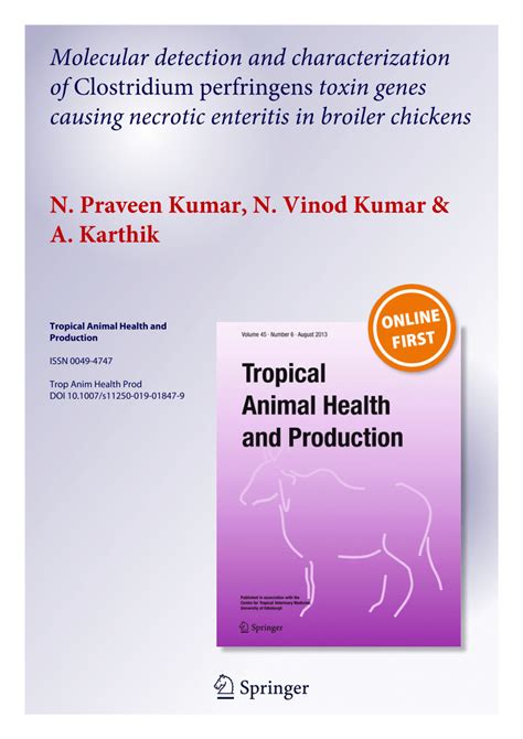 Pdf Molecular Detection And Characterization Of Clostridium