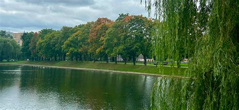 Безопасный секс что это как защититься от инфекций передающихся половым путем