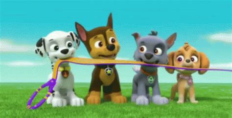 Paw Patrol  Paw Patrol Ten Discover And Share S