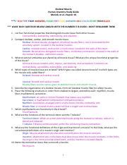 Understanding Skeletal Muscle Tissue Comprehensive Study Guide