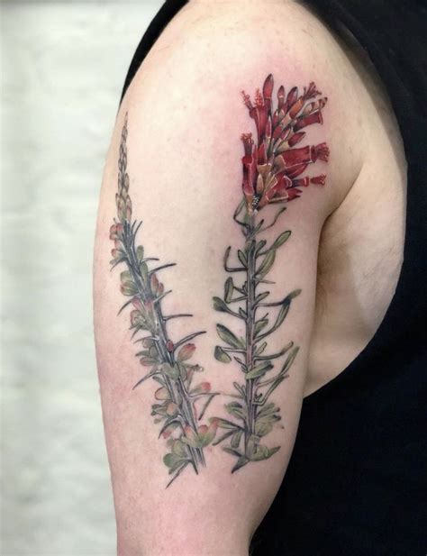 Ocotillo By Diamoellertattoo On Ig Body Tattoos Plant Tattoo