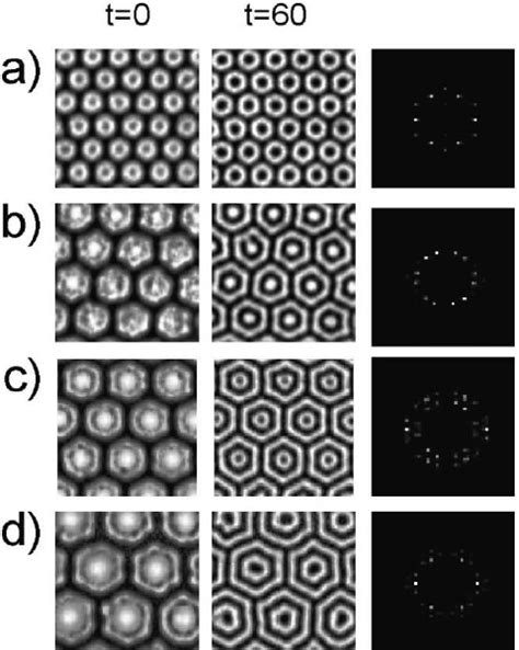 Turing Superlattices Induced In The Cdima Reaction Diffusion System By Download Scientific