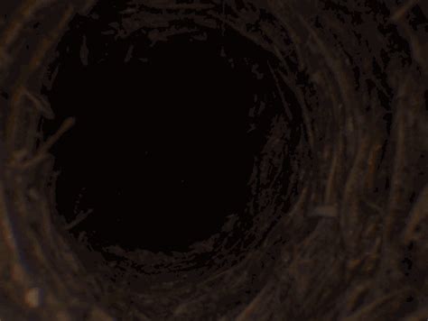 Redirect Notice  Rabbit Hole