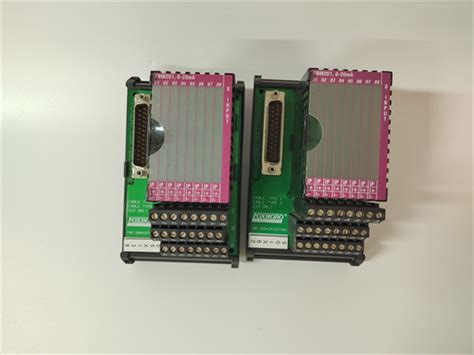 FOXBORO P0916AA Module Runsheng Automation