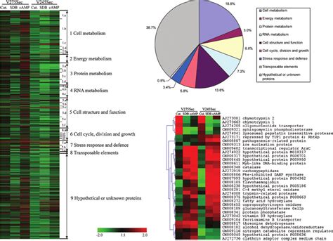 Transcriptional Profiling And Characterization A Entire
