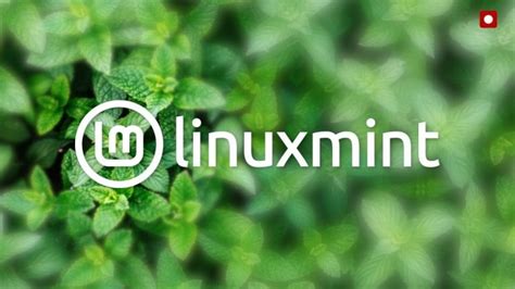 Linux Mint The Beginner Friendly Linux Operating System For Everyone