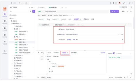 什么是 Ssh 隧道？如何用其连接数据库？
