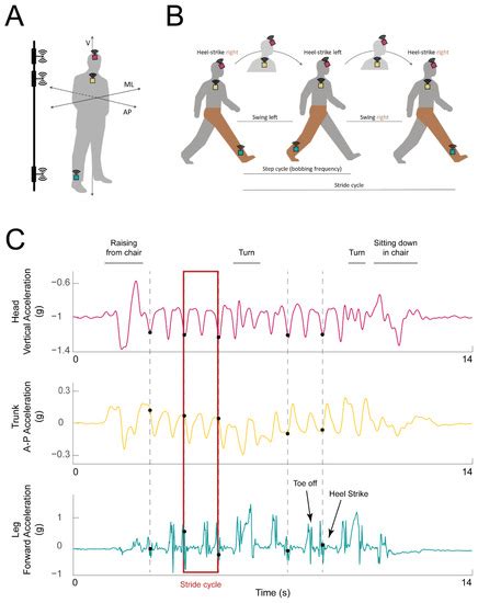 a comparison of walking behavior during the instrumented tug and