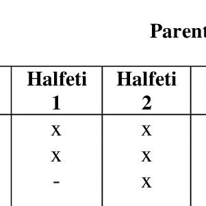 Hybridization Scheme Used In The Research Download Scientific Diagram
