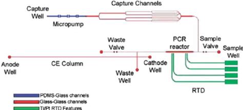 Cell Capture Pcr Ce Microdevice That Integrates A Capture Structure