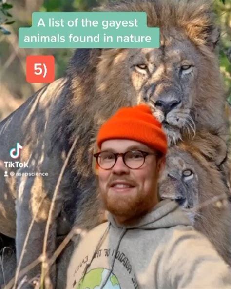 Discover — Asapscience