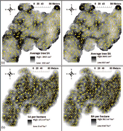 Spatial Variation In A Average Tree Sa 13 And Ba 13 And B Sa
