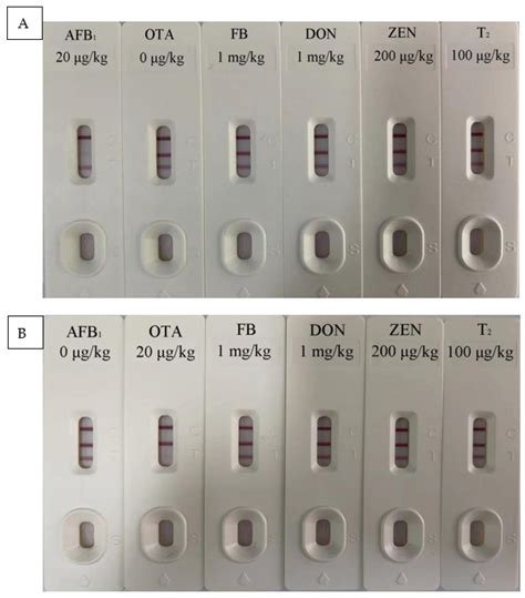 Simultaneous Rapid Detection Of Aflatoxin B1 And Ochratoxin A In Spices