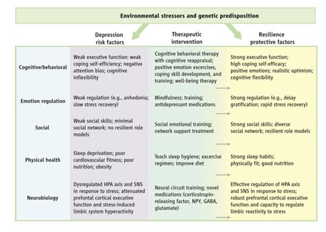 Resilience Theory A Summary Of The Research Pdf