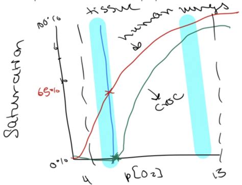 2 2 Practice Flashcards Quizlet