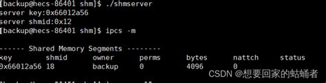 【linux】共享内存（超详细！） linux 共享内存 csdn博客