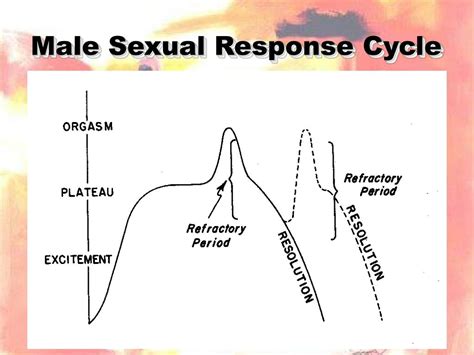 Ppt Sexual Behavior Powerpoint Presentation Free Download Id6695638