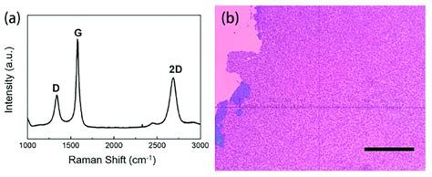 A Raman Spectra Of Graphene Grown In Situ Catalyzed By Cobalt B