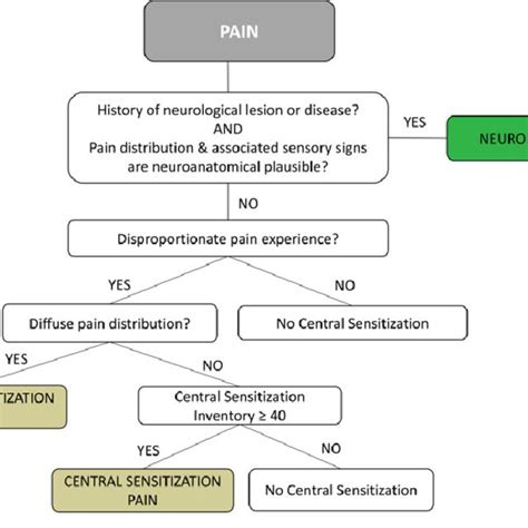 Flowchart Of The Patient Selection Process Bcs Breast Cancer