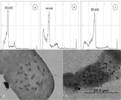 Histograms Obtained By Flow Cytometry Analyses And Chromosomes Account Download Scientific