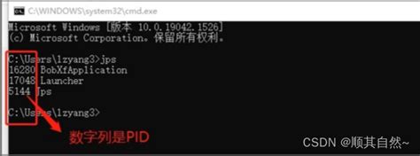 jps命令详解 csdn博客