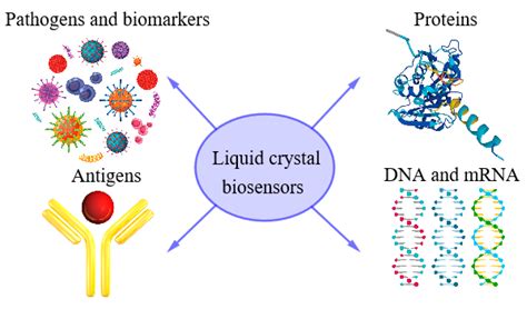 Crystals Free Full Text Optical Biosensing Of Polarized Light