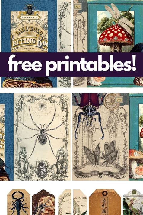 Bugs Free Printable Ephemera Collage Sheets Fall Halloween Crafts