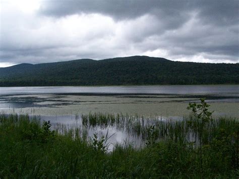 Photo Across Cedar River Flow Andy