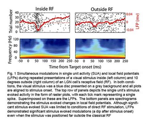 NSF Related Work